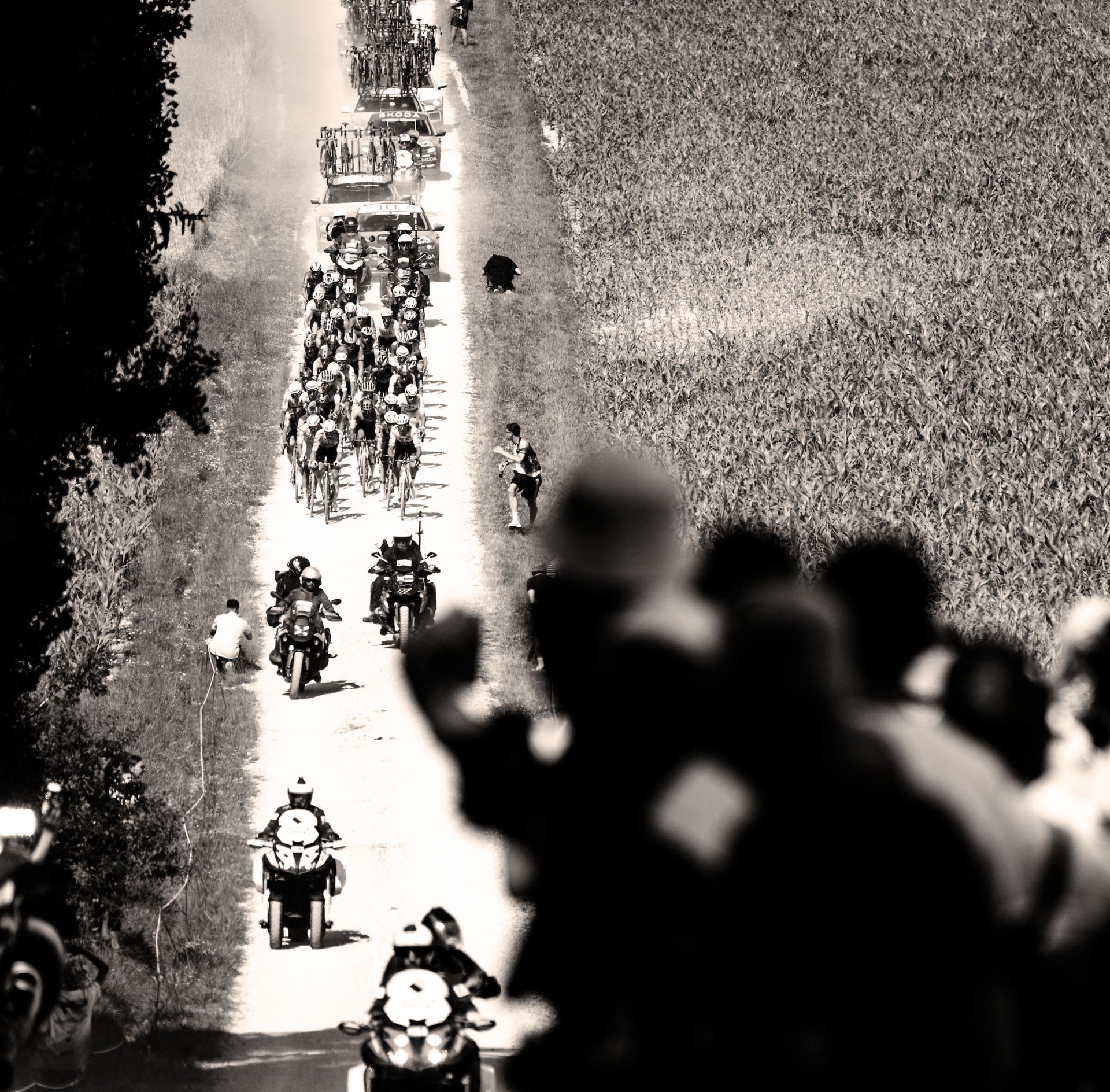 ENVE | Melee Complete Bike – Enve EU